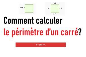 Comment calculer le périmètre dun carré Prof Innovant