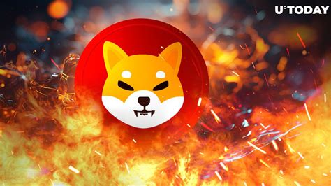 Shiba Inu SHIB Burn Rate Surges Price S Reaction