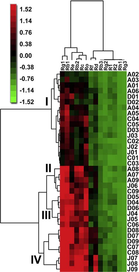 Dendrogram And Heatmap For The 36 Cultivated Ginseng Samples According