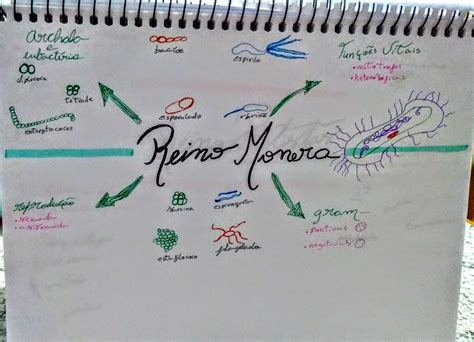 Mapa Mental Sobre O Reino Monera MAPA META