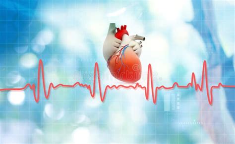 Bicia Serca ECG Normalny Wykres Ilustracji Ilustracja złożonej z