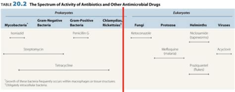 Ppt 10 Controlling Microbial Growth In Environment Flashcards Quizlet