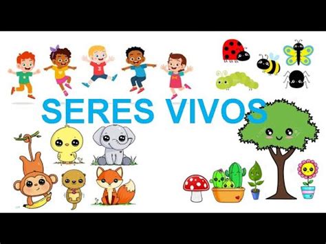 Seres vivos e não vivos YouTube