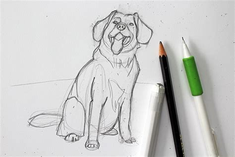 Aprende cómo dibujar un perro en cinco sencillos pasos