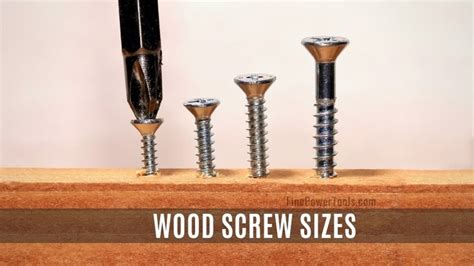 Wood Screw Sizes Explained A Beginners Guide 53 OFF