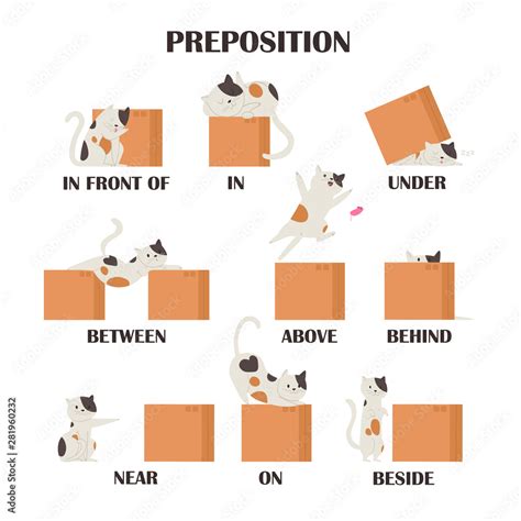 Cute Cat Character In Different Poses With Box Prepositions Of Place