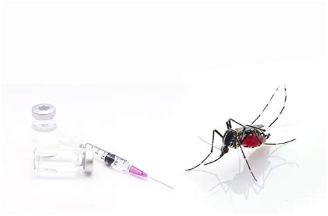 Vaksin Dengue 9 16 Tahun Tujuan Jenis Dan Prosedur Halodoc