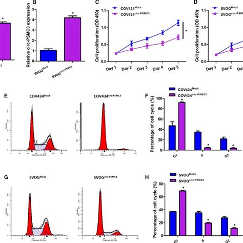 CircPSMC3 Suppresses The Viability And Proliferation Of KGN Cells A