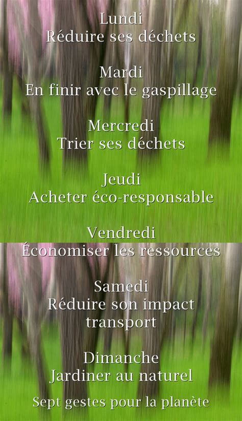Mon Cahier De Fran Ais Environnement Sept Gestes Pour La Plan Te