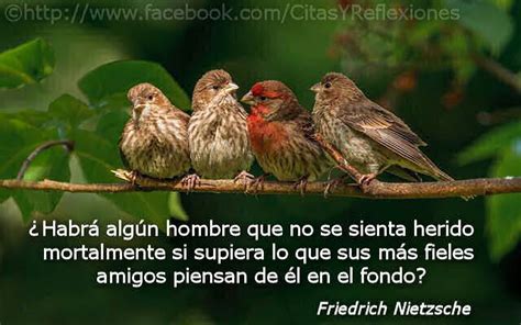 Citas y Reflexiones Directo al corazón julio 2019