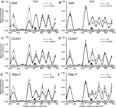 dna sequence specific binding proteins regulate chromatin remodeling at download scientific