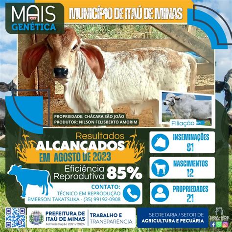 Saiba Qual A Expectativa Para O Lago De Furnas Para Os Pr Ximos Meses