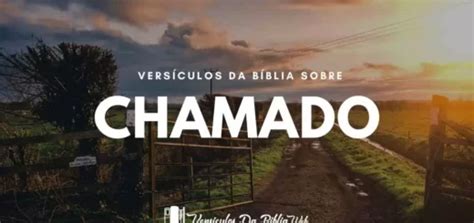 30 Versículos da Bíblia Sobre a Colheita 2022