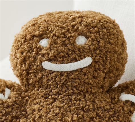 Mr Spice Gingerbread Pillow Pottery Barn