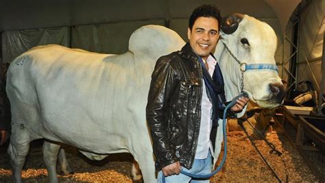 Conheça detalhes da milionária fazenda É o Amor de Zezé Di Camargo em