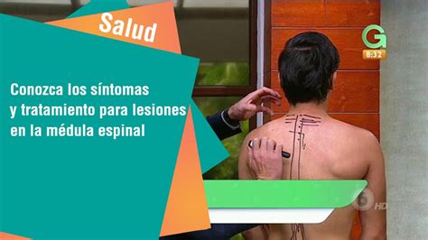 La Medula Espinal Esta Protegida Por Muchas Estudiar