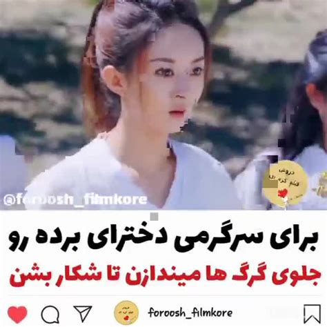 میکس چینی فیلم ویسگون