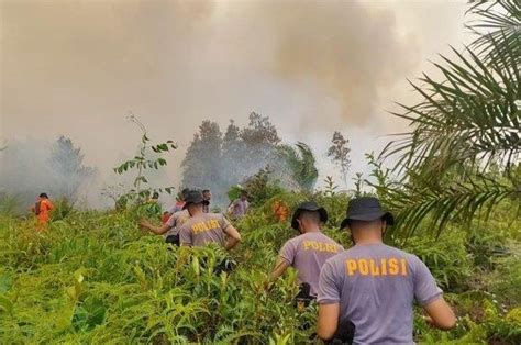 Kebakaran Hutan Dan Lahan Di Desa Pasir Mempawah Hilir Meluas Sonora Id