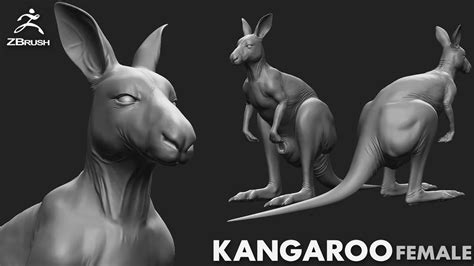 Kangaroo Female Topology UV FlippedNormals