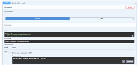 implementing api rate limiting in web apis