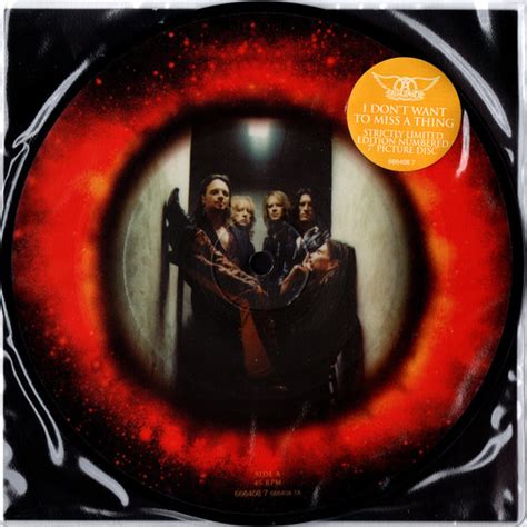 Aerosmith I Don T Want To Miss A Thing Vinyl 7 45 RPM 4 More