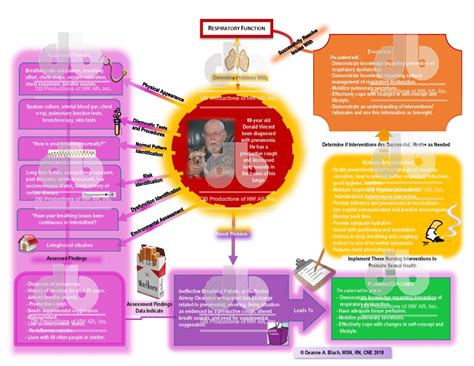 Respiratory Function Concept Map Deanne Blach DB Productions