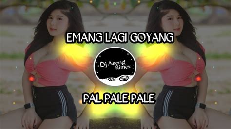 DJ EMANG LAGI GOYANG X PAL PALE PALE YANG LAGI VIRAL YouTube