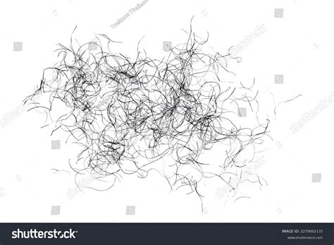 Pubic Hair Fall Isolated On White Stock Photo 2279002135 Shutterstock