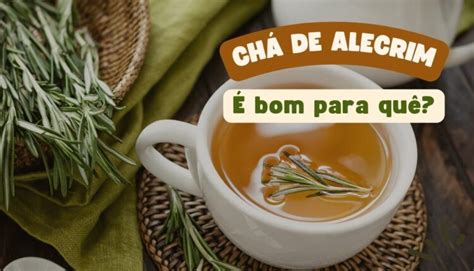 Alecrim 9 Benefícios Receitas e Mais É bom para quê