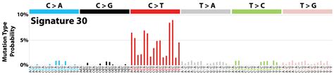 Cosmic Signatures Of Mutational Processes In Human Cancer