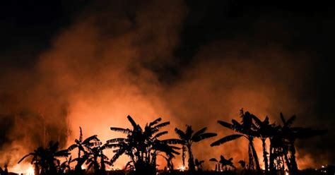 Visão ONG e agronegócio do Brasil propõem medidas contra