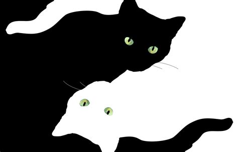 Kawaii Cat Aesthetic Desktop Wallpapers Wallpaper Cave
