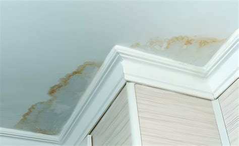 How To Fix A Leaking Roof From The Inside Roof Magazine