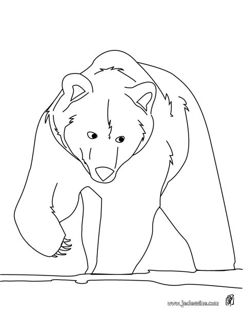 Dessins De Coloriage Ours Polaire Imprimer