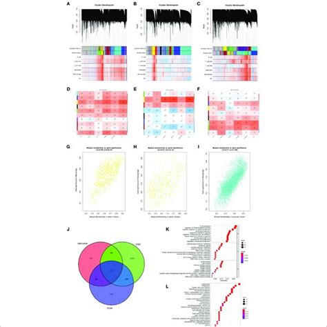 The Coexpression Network Established Using Weighted Gene Coexpression