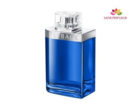 عطر و ادکلن مردانه فلای بک بای نایت برند ایو د سیستل YVES DE SISTELLE