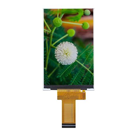 Custom HD 3 97 Inch 480X800 St7701s IPS TFT LCD Module Mipi Interface