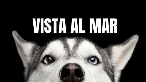 Quevedo Vista Al Mar Letra Lyrics YouTube
