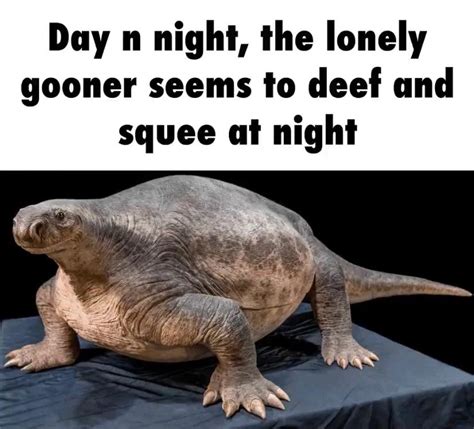 Dan N Night The Lonely Gooner Seems To Deef And Squee At Night