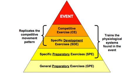 what exercise classification can and can t do for your training hmmr media