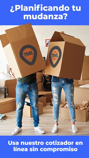 Cómo organizar una mudanza paso a paso Mudanzas TML