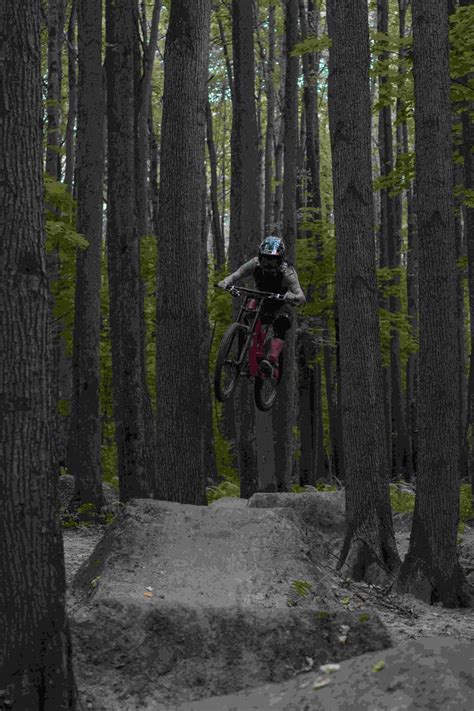 What Muscles Does Biking Work A Comprehensive Guide To The Targeted