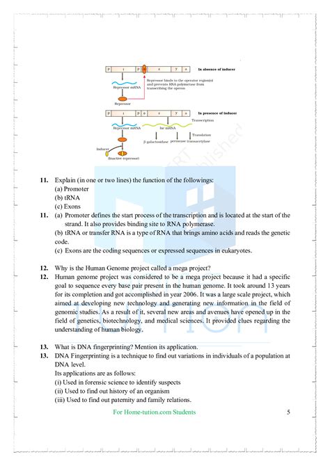 NCERT Solutions For Class 12 Biology Chapter 6 Molecular Basis Of