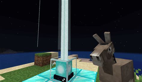 Rarest Items In Minecraft Pro Game Guides