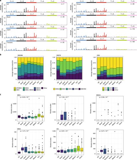 Mutational Signatures In ESCC From Eight Countries A Average SBS96