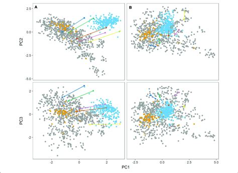 principal component analysis pca of genomic relationship matrix download scientific diagram
