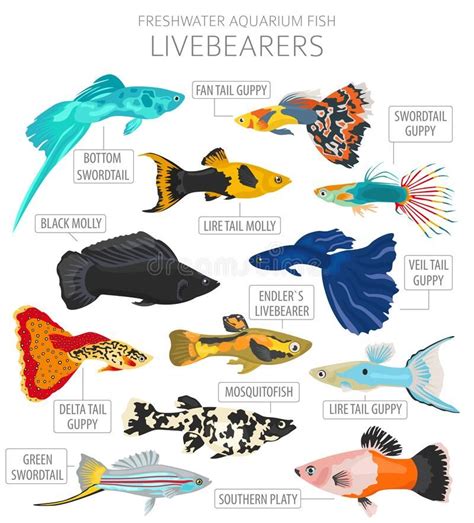 Livebearers Fish Freshwater Aquarium Fish Icon Set Flat Style Isolated