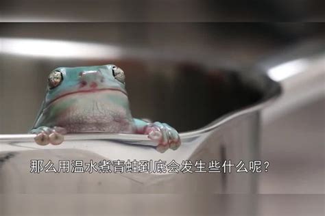 温水煮青蛙到底会发生些什么青蛙这是人干的事吗 青蛙 会发生 干的事