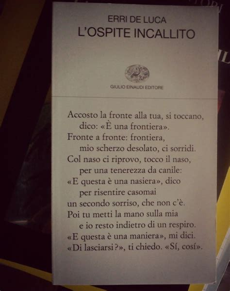 Poesie Di Erri De Luca Parole Poesia Pensieri Profondi