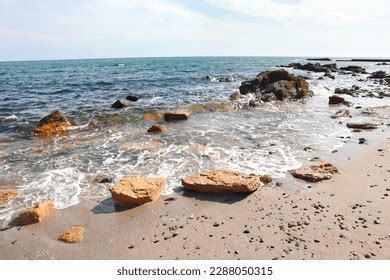 Nude Beach Images Stock Photos D Objects Vectors